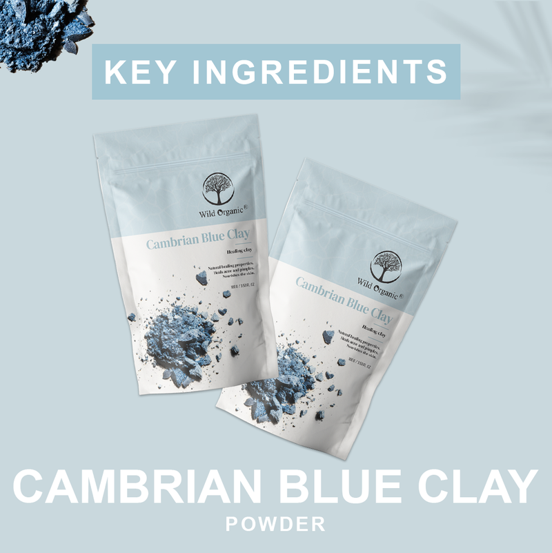 Cambrian Blue Clay - Powder Healing clay - 100gm – Wildorganic ind