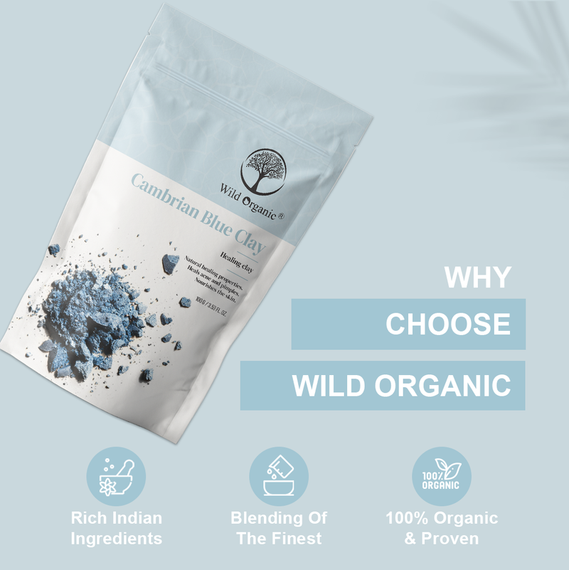 Cambrian Blue Clay - Powder Healing clay - 100gm – Wildorganic ind